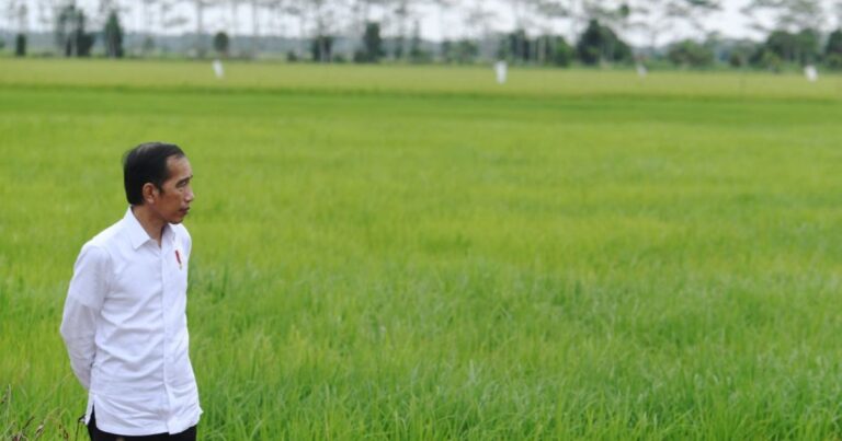 Mengenal One Map Policy dan Dampaknya di Indonesia