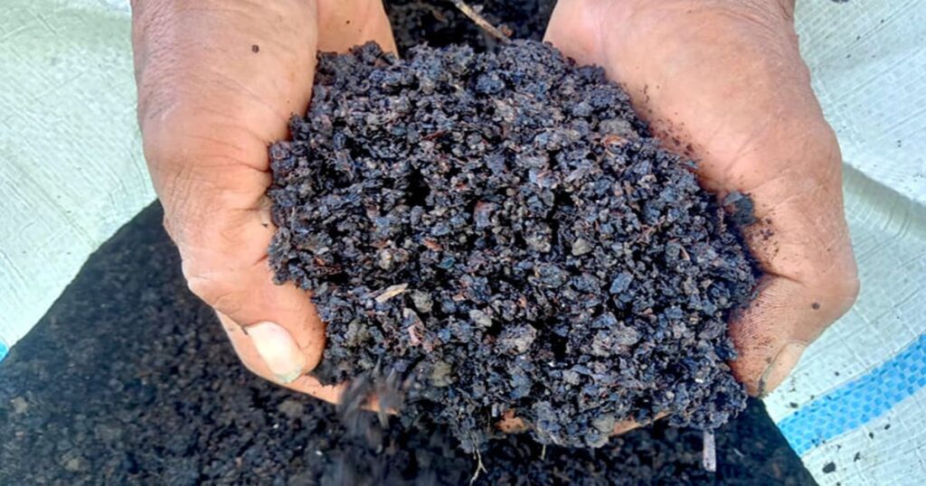 7 Jenis Pupuk Organik yang Biasa Digunakan untuk Tanaman