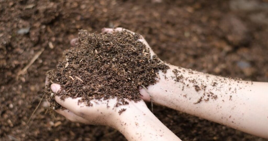 7 Jenis Pupuk Organik yang Biasa Digunakan untuk Tanaman