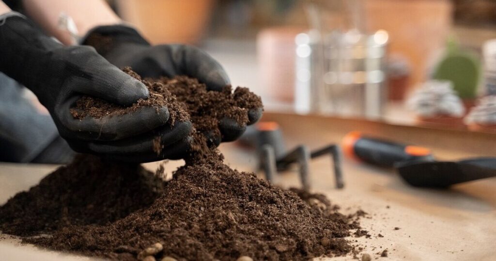 7 Jenis Pupuk Organik yang Biasa Digunakan untuk Tanaman