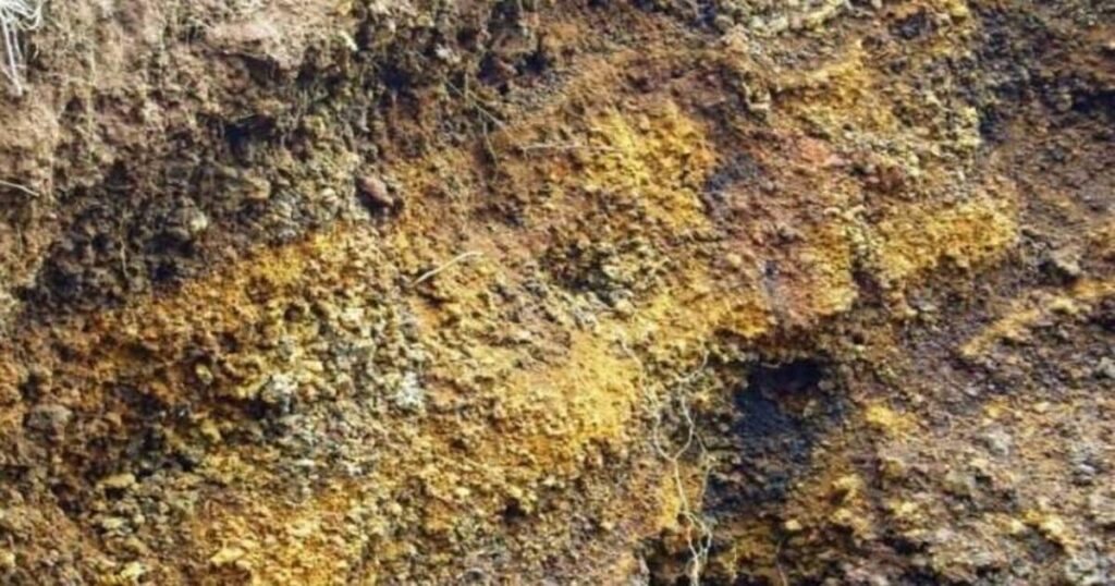 10 Penyebaran Jenis Tanah yang Ada di Indonesia