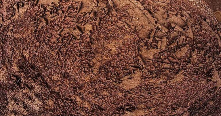 10 Penyebaran Jenis Tanah yang Ada di Indonesia