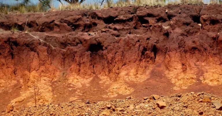 10 Penyebaran Jenis Tanah yang Ada di Indonesia