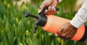 6 Manfaat, Tipe, dan Metode Pemupukan pada Tanaman